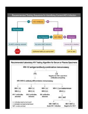 3. TESTING ALGORITHMS - Wyoming Department of Health