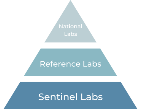 LRN Hierarchy - Wyoming Department of Health