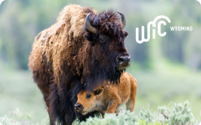 Women, Infants and Children Program (WIC) - Wyoming Department of Health