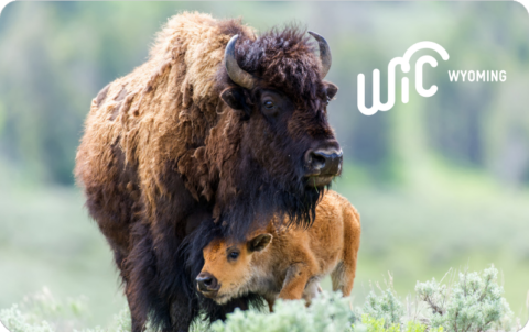 Women, Infants and Children Program (WIC) - Wyoming Department of Health