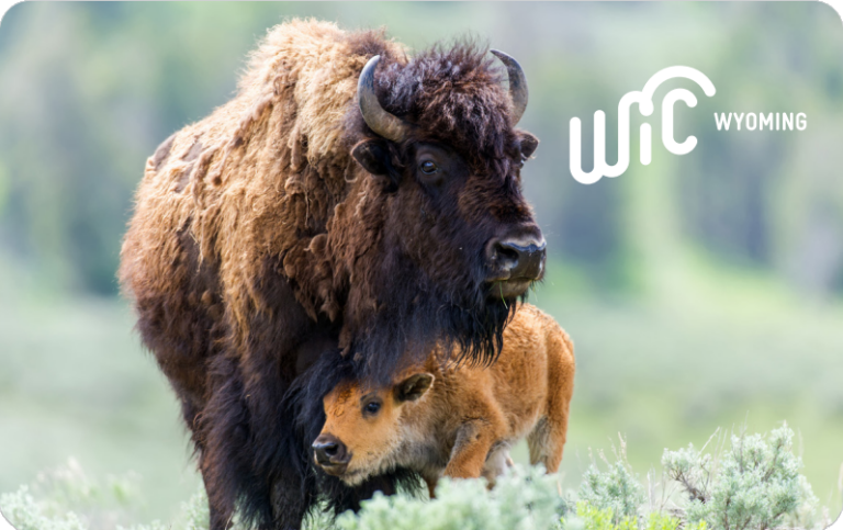 Women, Infants and Children Program (WIC) - Wyoming Department of Health