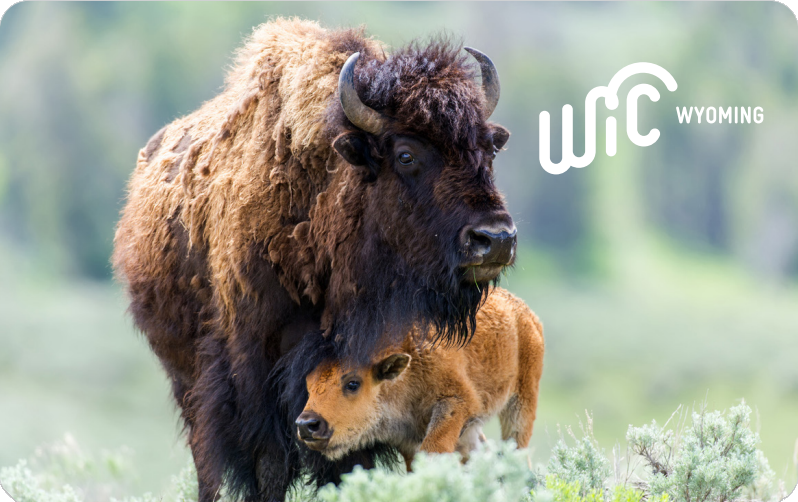 Women, Infants and Children Program (WIC) - Wyoming Department of Health